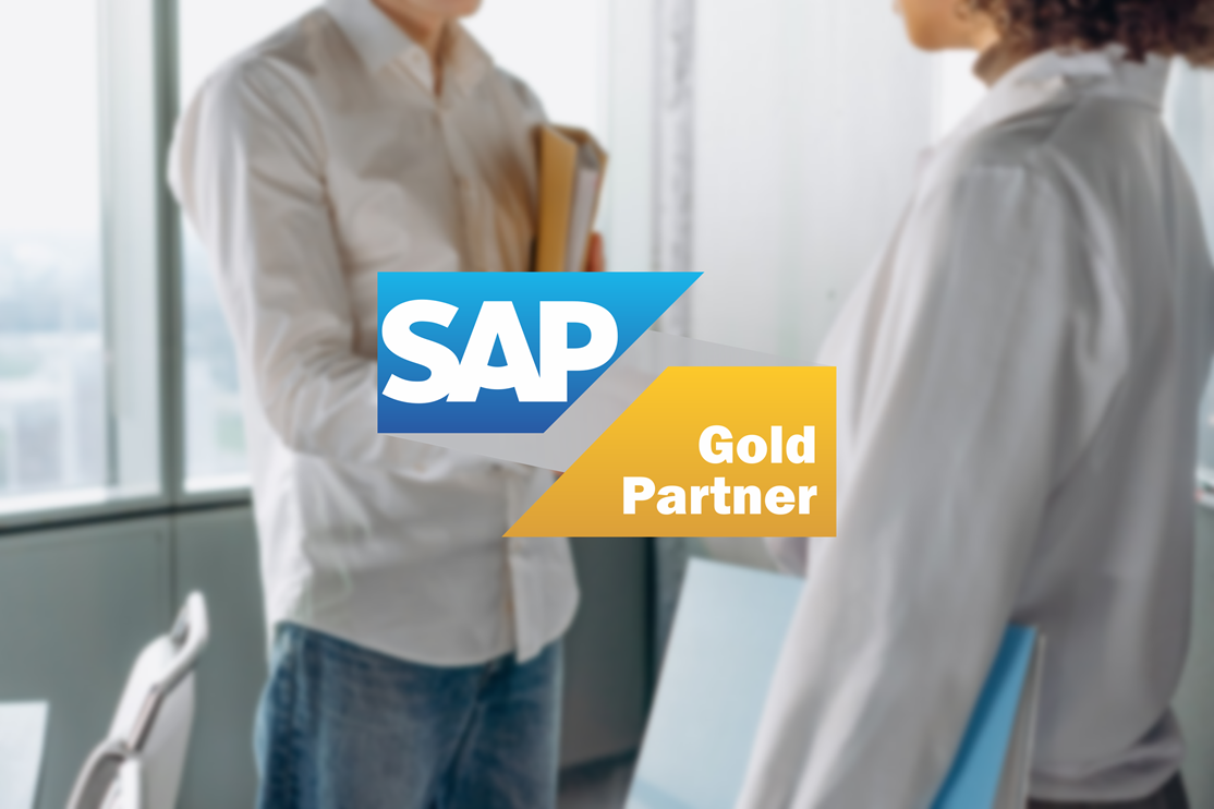 SAP Partners Singapore | System Integrator in Singapore - delaware