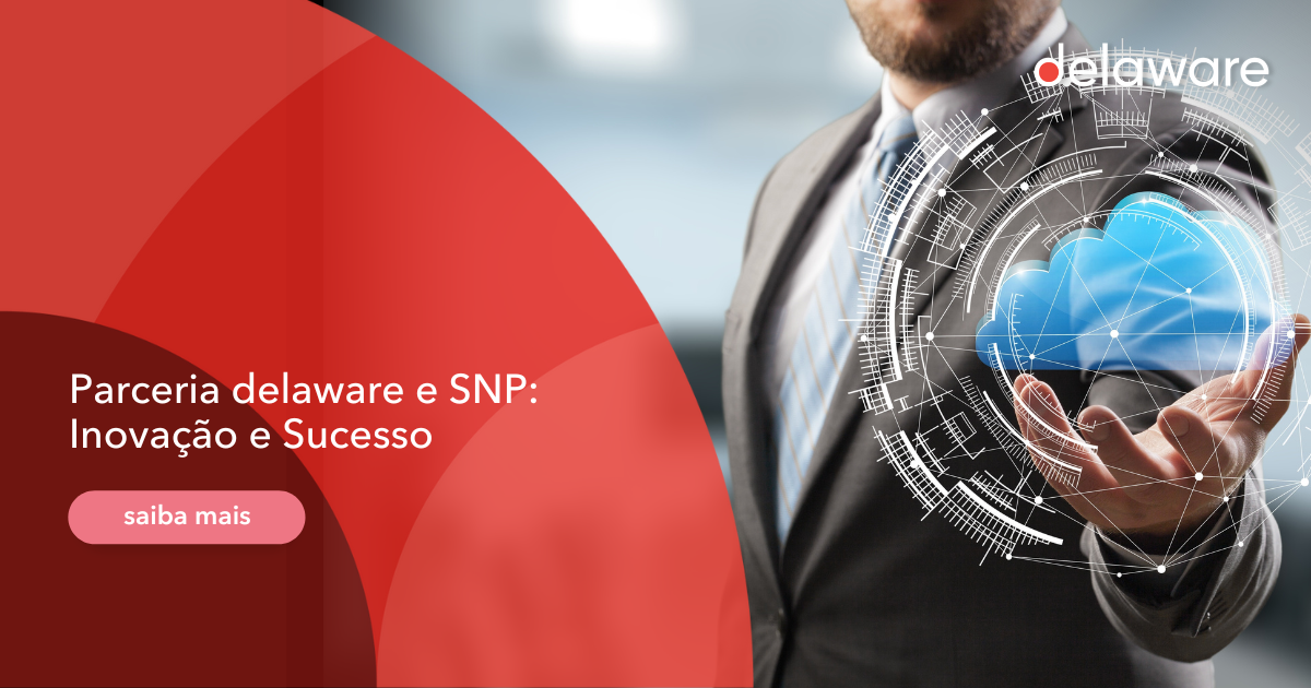 Parceria delaware e SNP impulsiona sucesso do projeto Cibra no Brasil - delaware Brazil
