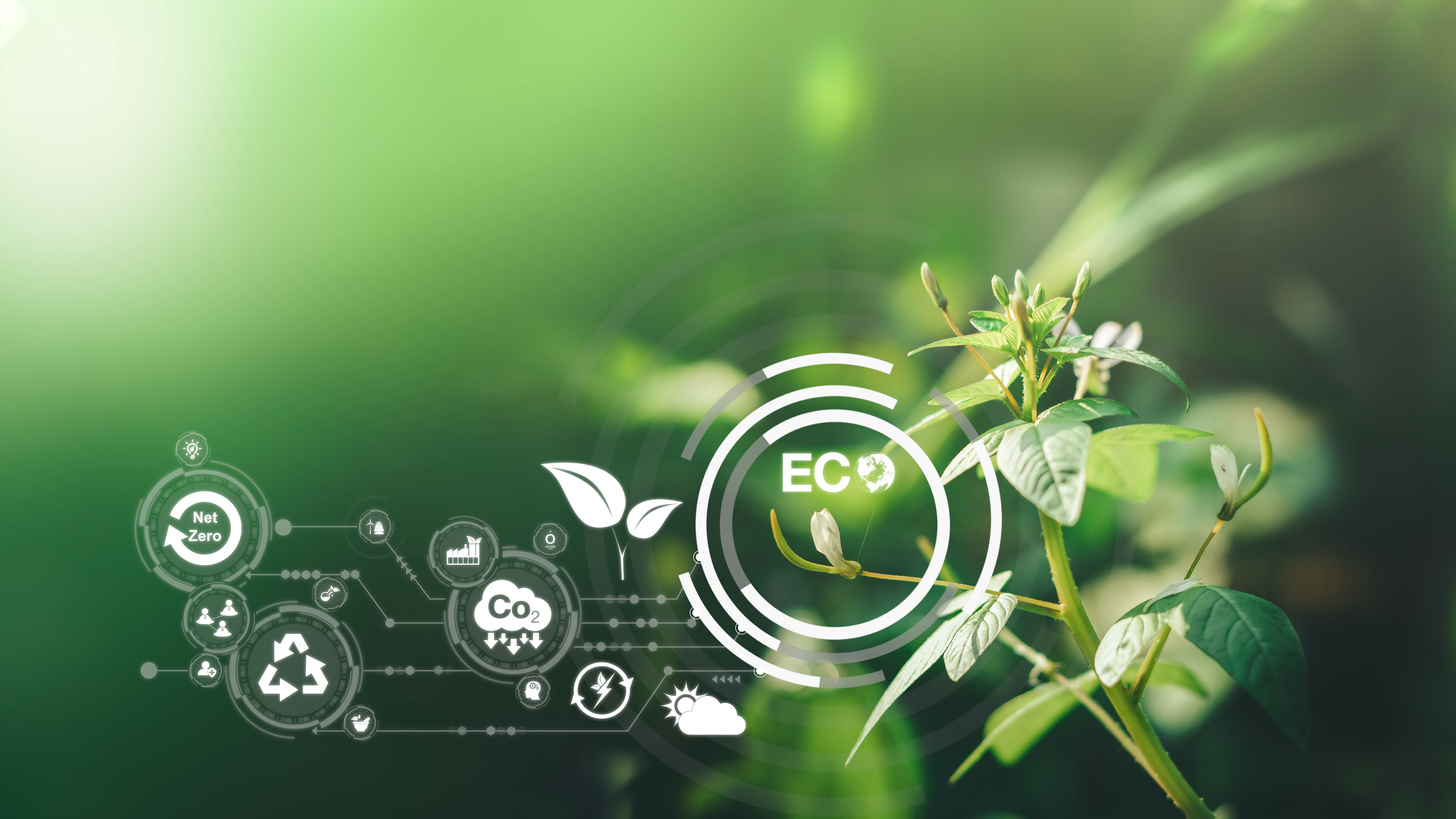 Sustainability: Exclusive series - delaware UK & Ireland