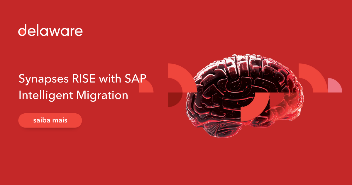 Synapses RISE with SAP Intelligent Migration - delaware Brazil