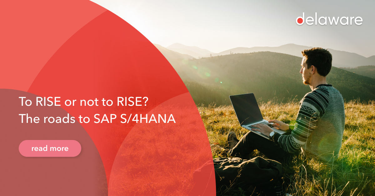 To RISE or not to RISE? The roads to SAP S/4HANA - delaware India