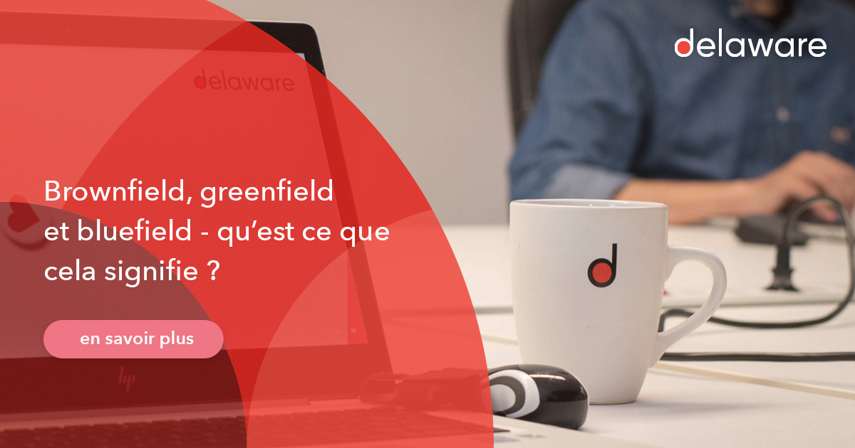 Conversion du système SAP S/4HANA - delaware France