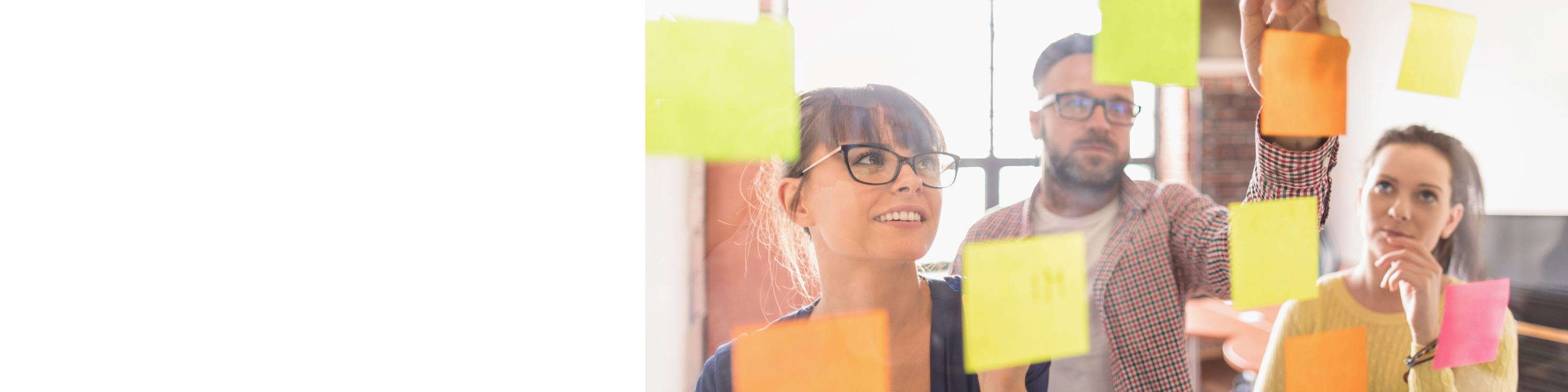 SAP Phase 0 Assessment - delaware USA & Canada