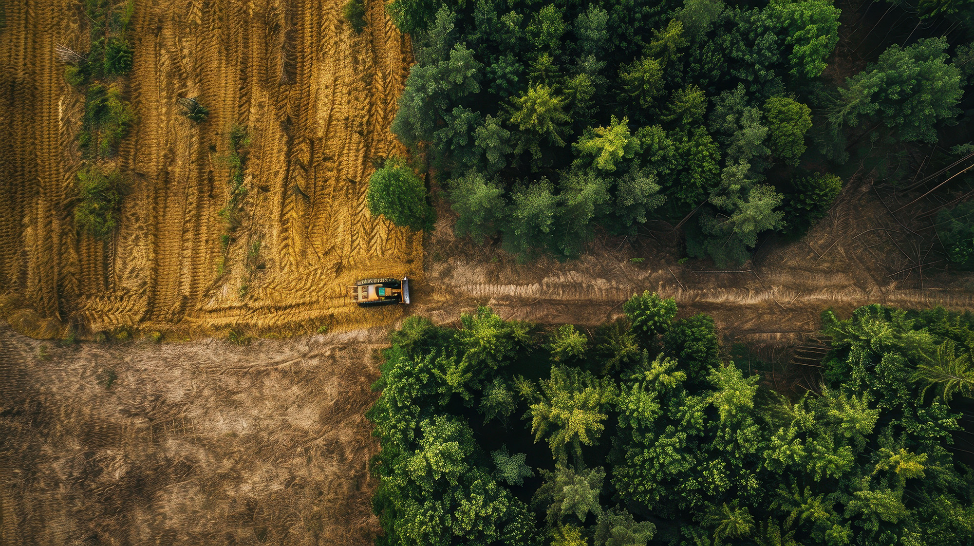 EUDR Maturity Scan - delaware Netherlands